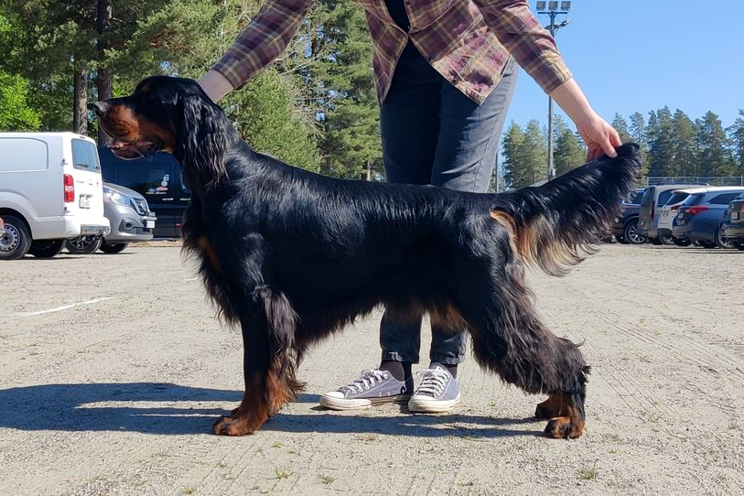 Kennel Fixour's Gordon Setters & Finnish Hounds